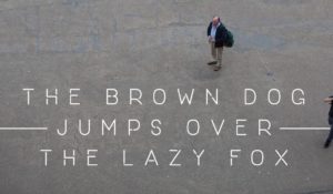 12 Best Free Fonts From Behance Designers